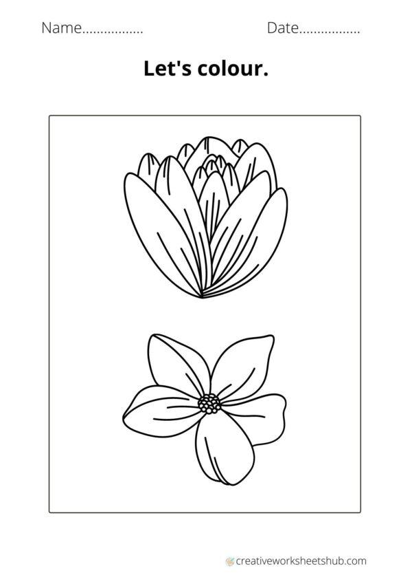 Coloring Pages - creativeworksheetshub
