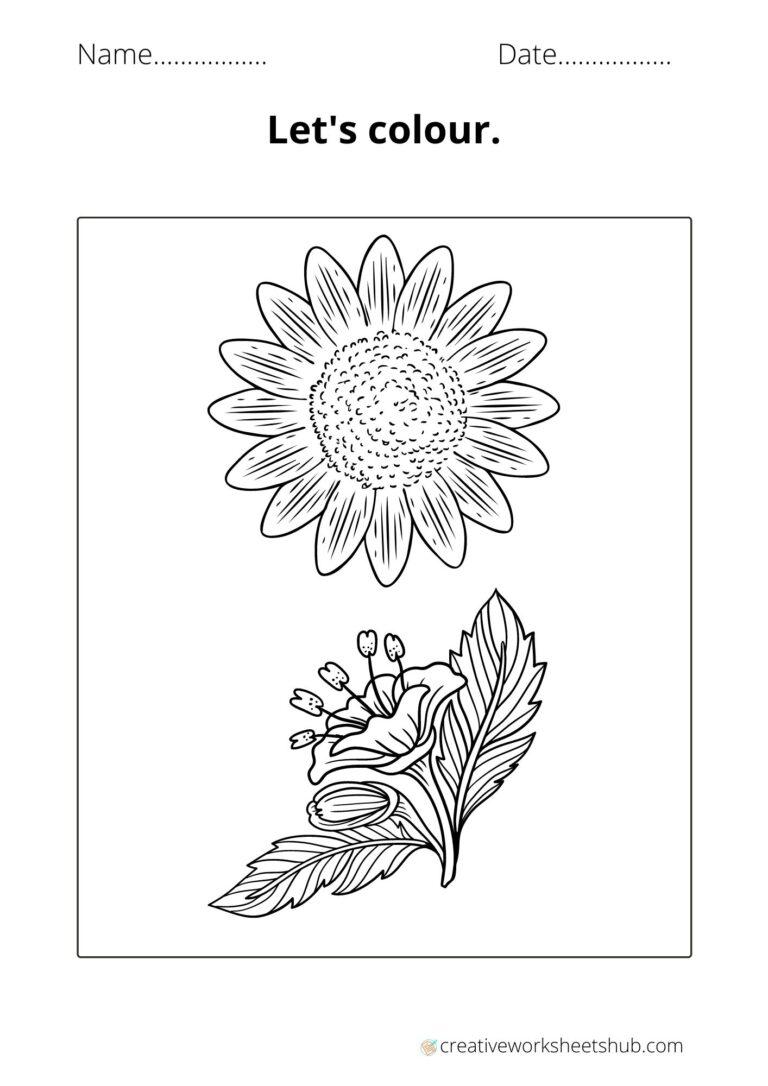 Coloring Pages - creativeworksheetshub
