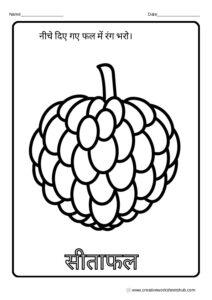 Fruits Coloring Worksheets in Hindi - creativeworksheetshub