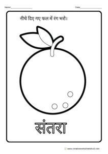 Fruits Coloring Worksheets in Hindi - creativeworksheetshub