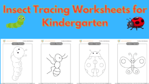 Insect Tracing Worksheets for Kindergarten - creativeworksheetshub