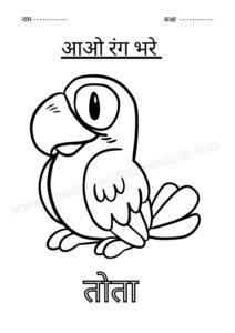 Colour worksheets in Hindi